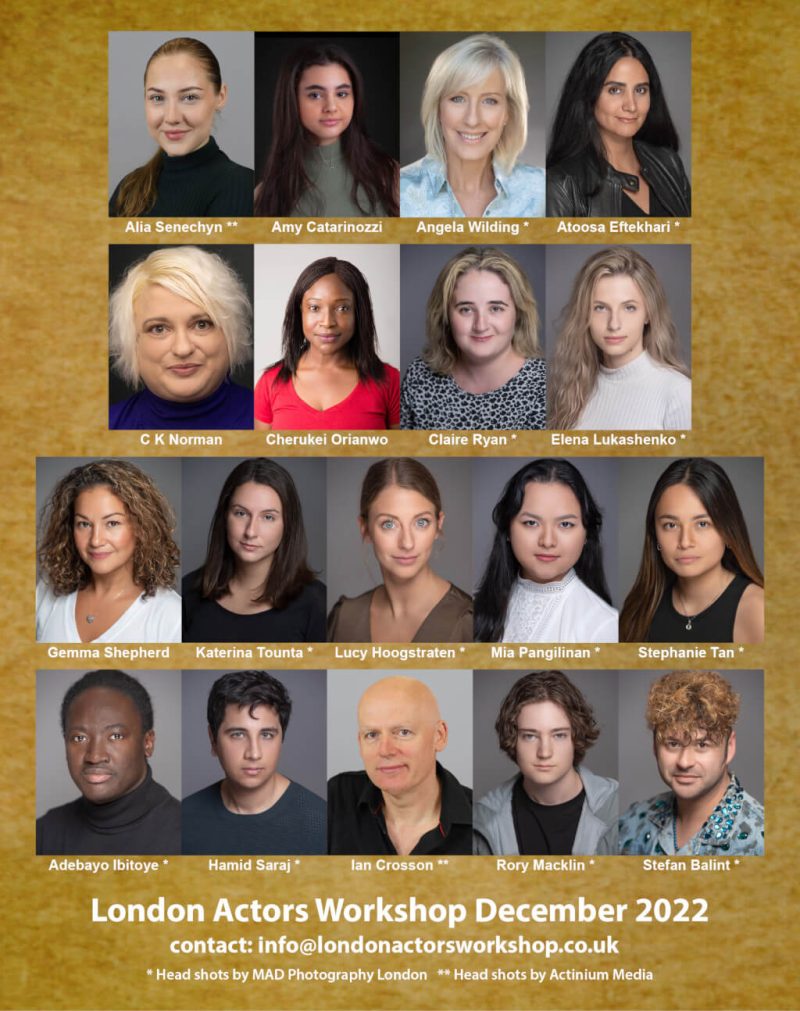 Check out the CVs of the talented actors in the December 2022 workshop ...